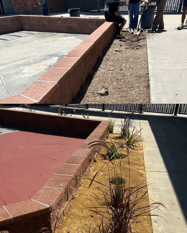 Renovated Middle School Courtyard – Eagle Scout Project Showcase